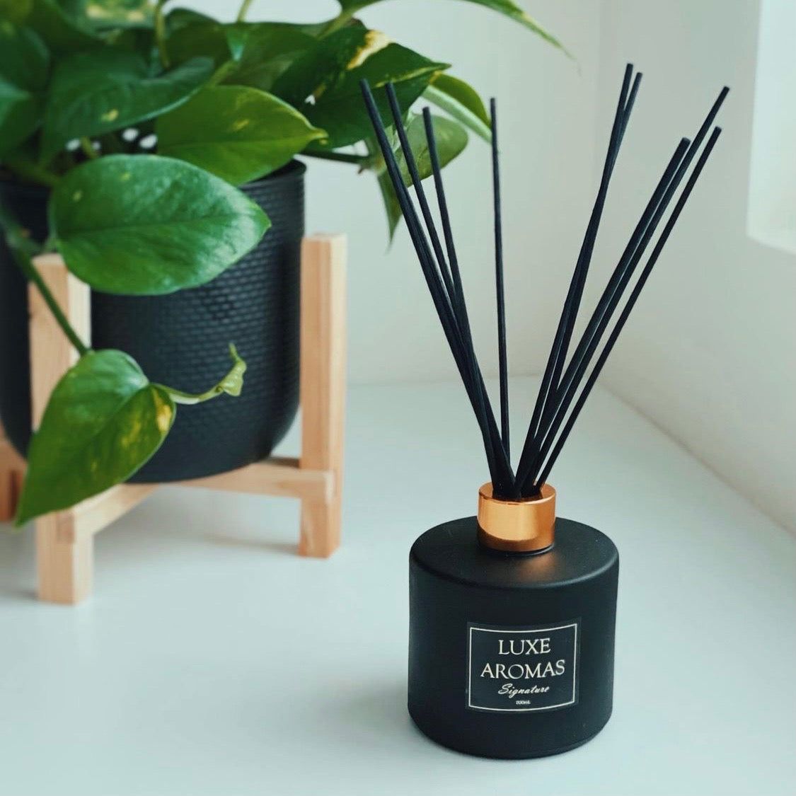SIGNATURE Classic Diffuser – Luxe Aromas Australia